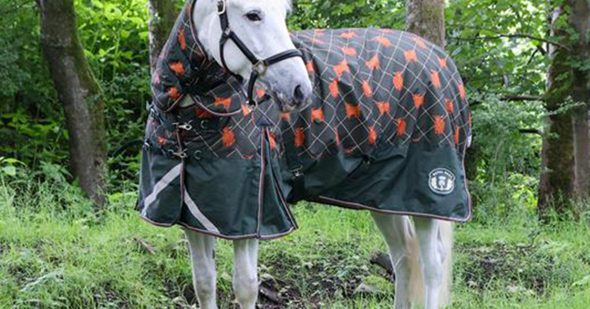 Khaki Royal Scot Original 100g Light Combo Neck Turnout Rug – Blacks