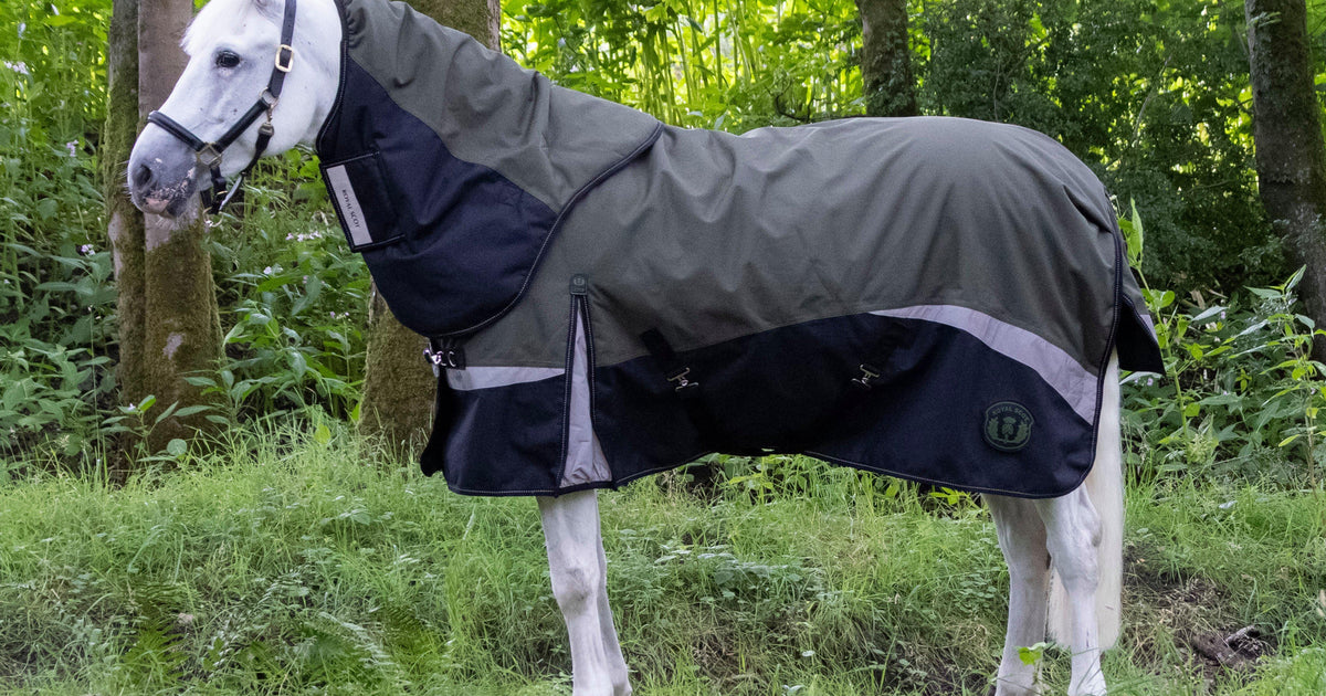 Green Royal Scot Pro 200g Turnout Rug – Blacks